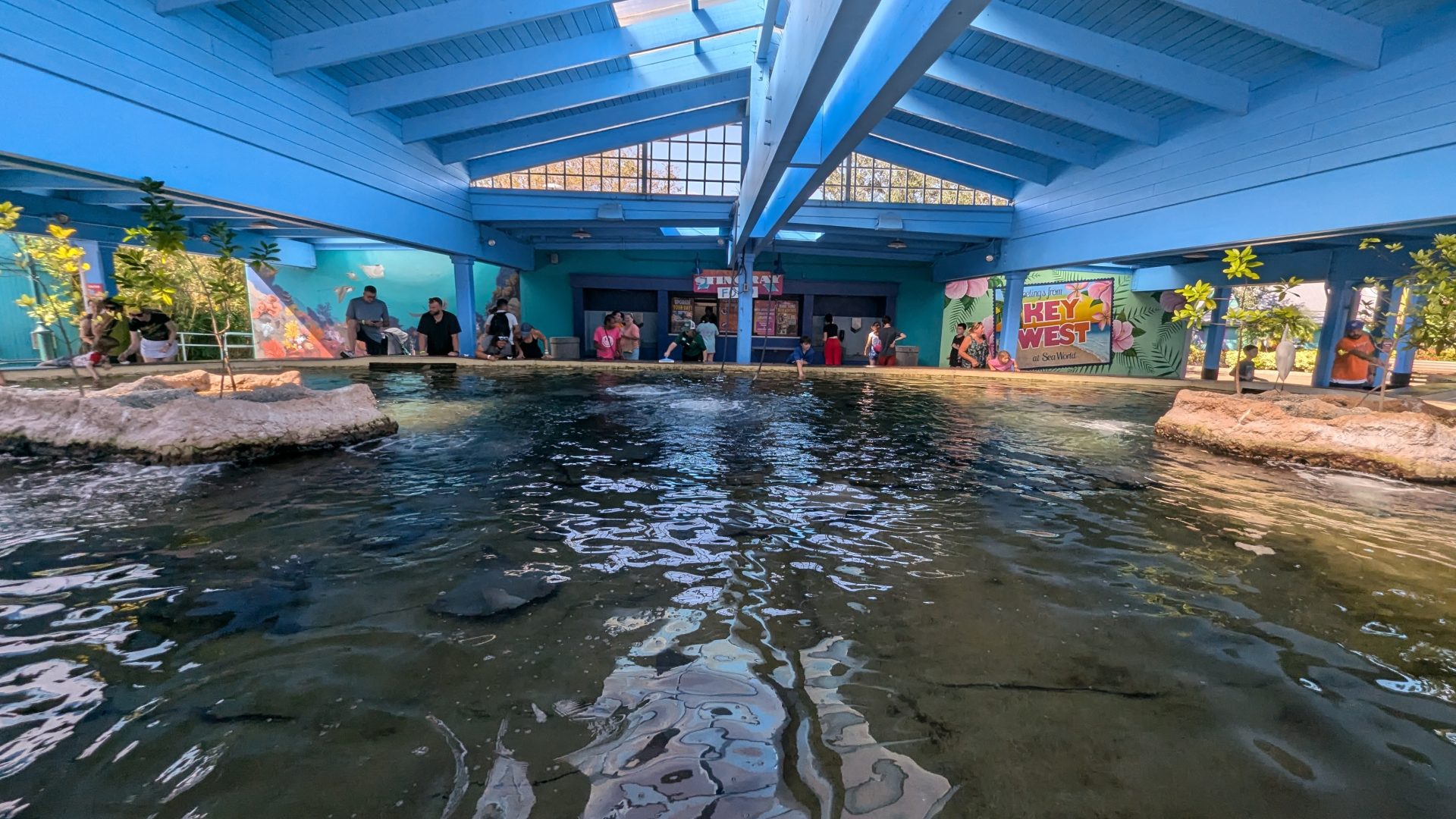 Visiting SeaWorld with Small Children