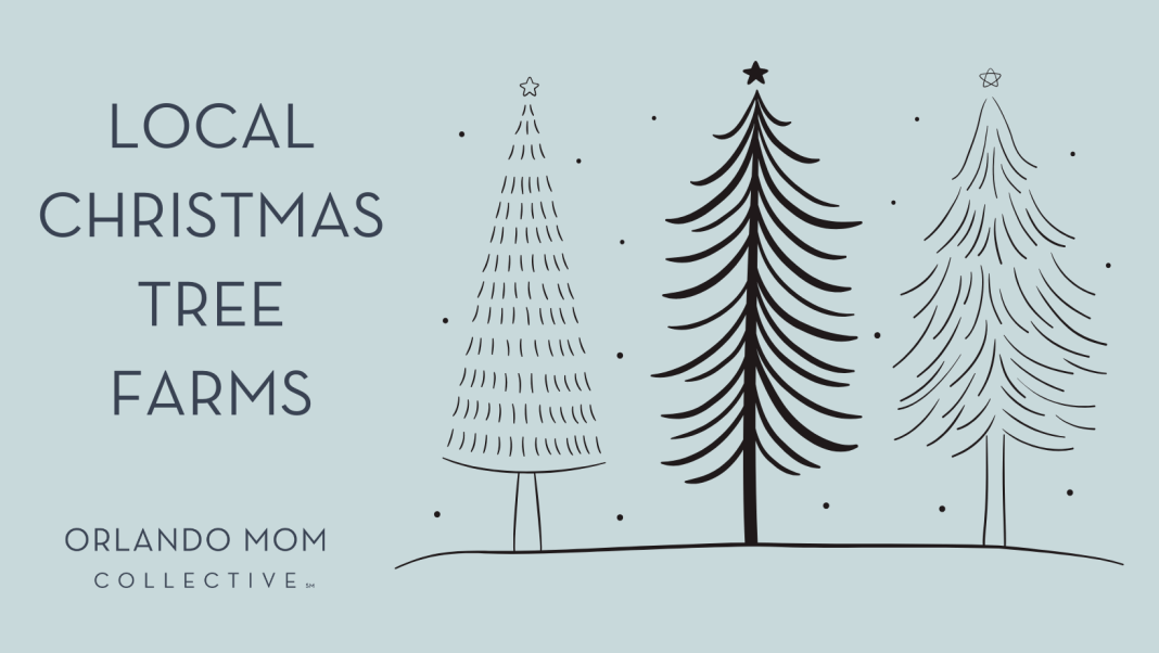 Ultimate Guide to the Holiday Season