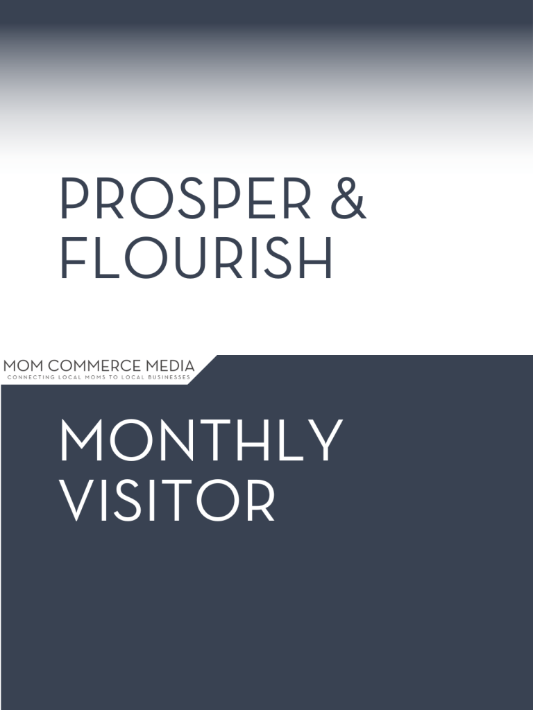Monthly Visitor-Member Meeting Fee - Orlando Mom Collective