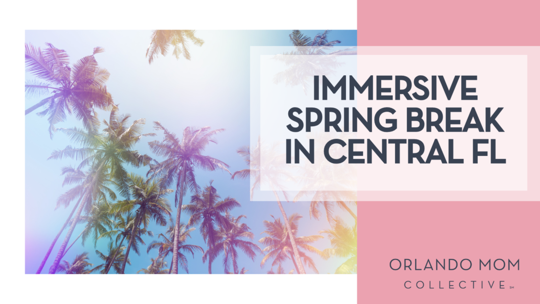 Immersive Spring Break Experiences in the Orlando Area